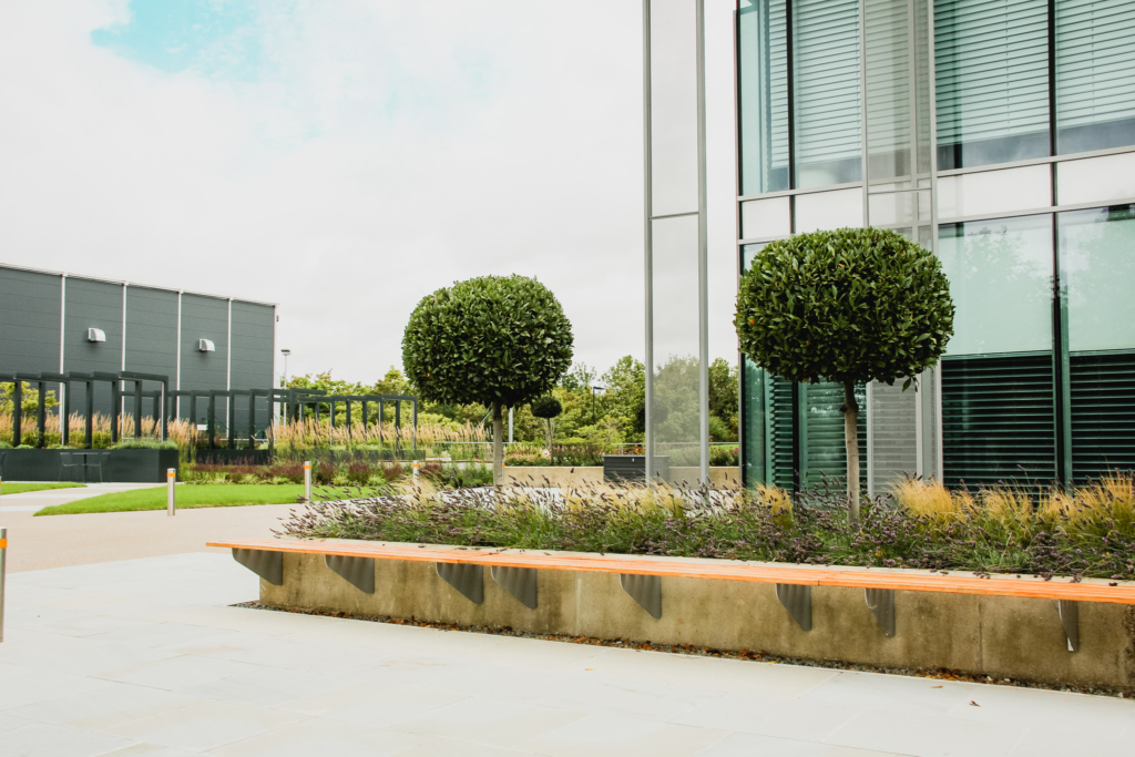 Winnersh Triangle Business Park trees - S&C Slatter